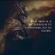38 Warrior Quotes That Will Inspire You (Absolute)