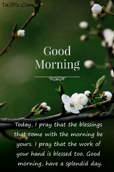 50+ Good Morning Blessings Quotes and Images